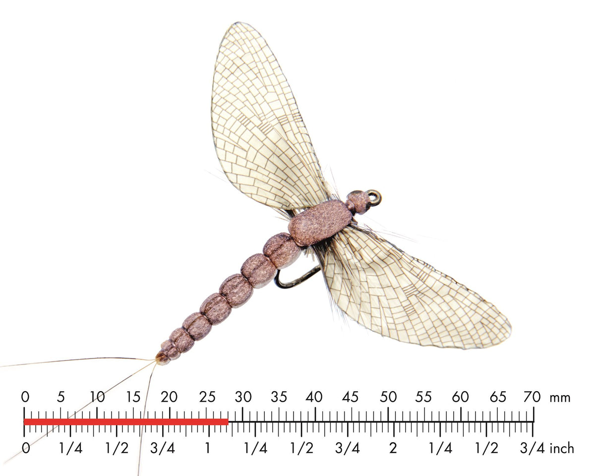 J:SON REALISTIC MAYFLY SPENT 1 #10 – The Fly-Tying Den