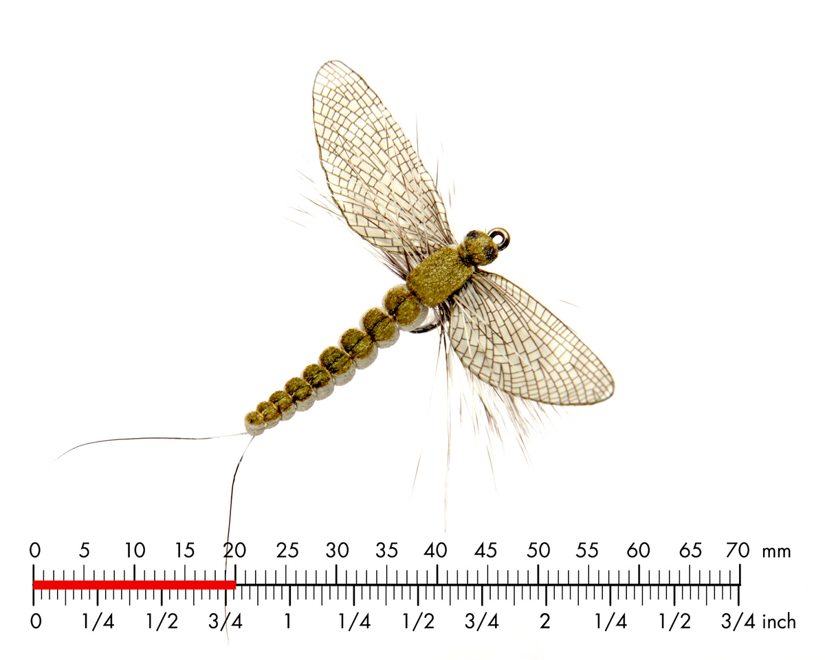 J:SON REALISTIC MAYFLY SPENT 2 #12 – The Fly-Tying Den