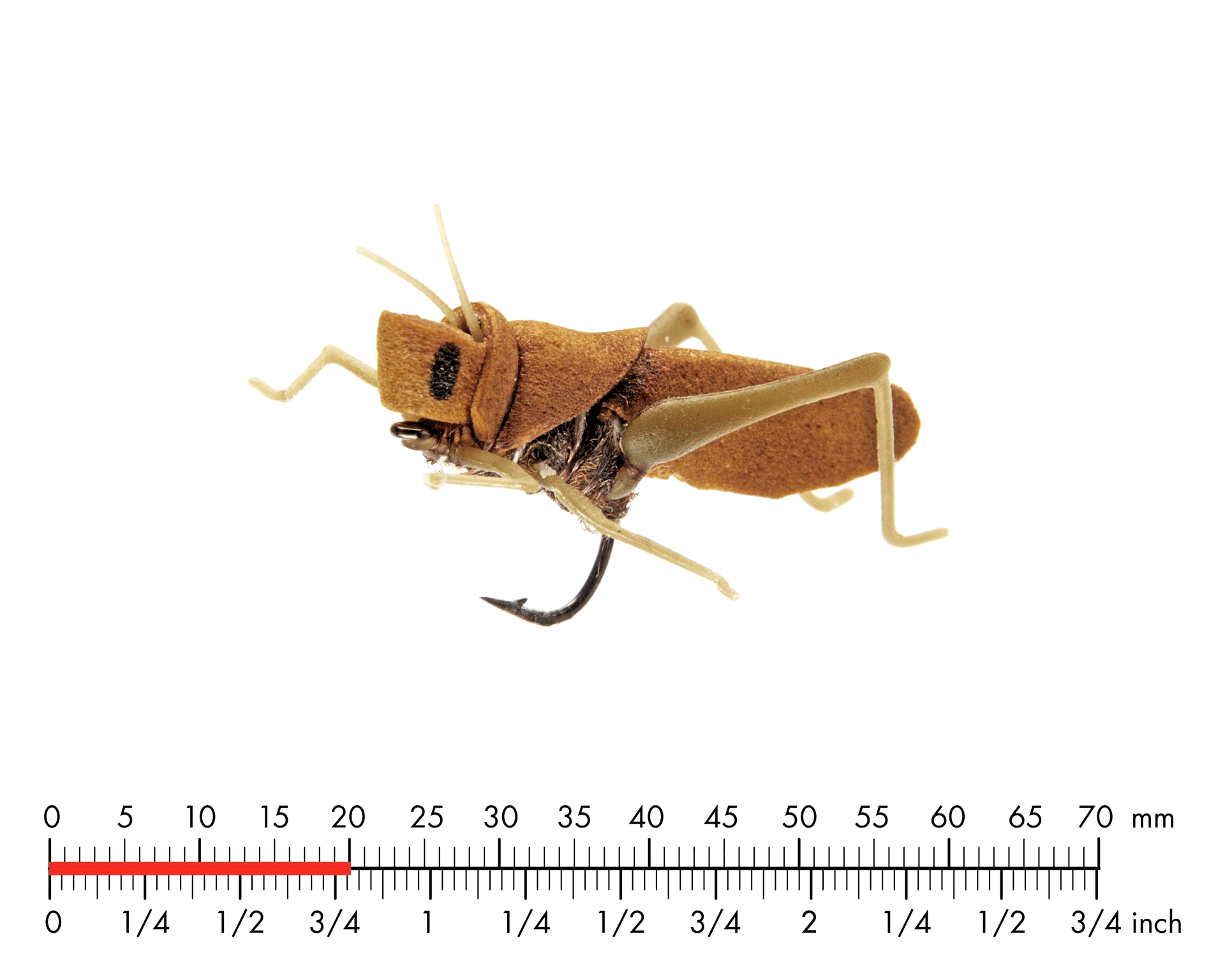 J:SON REALISTIC HOPPER 4 #14 – The Fly-Tying Den